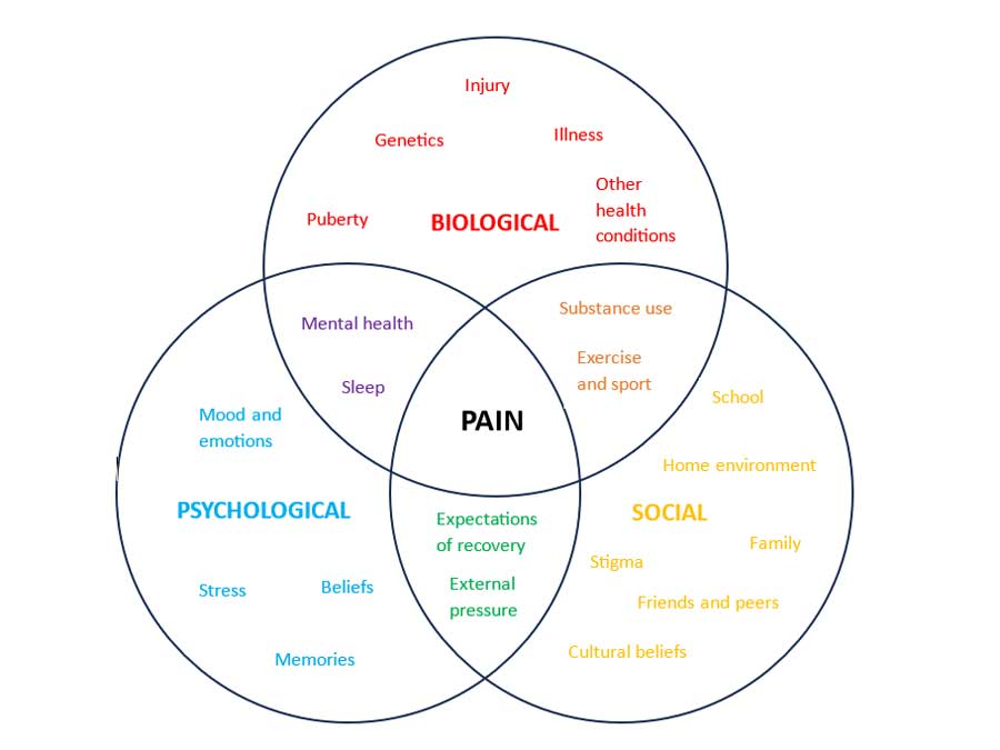 Lesson two: pain as a whole person experience - Pain Smart